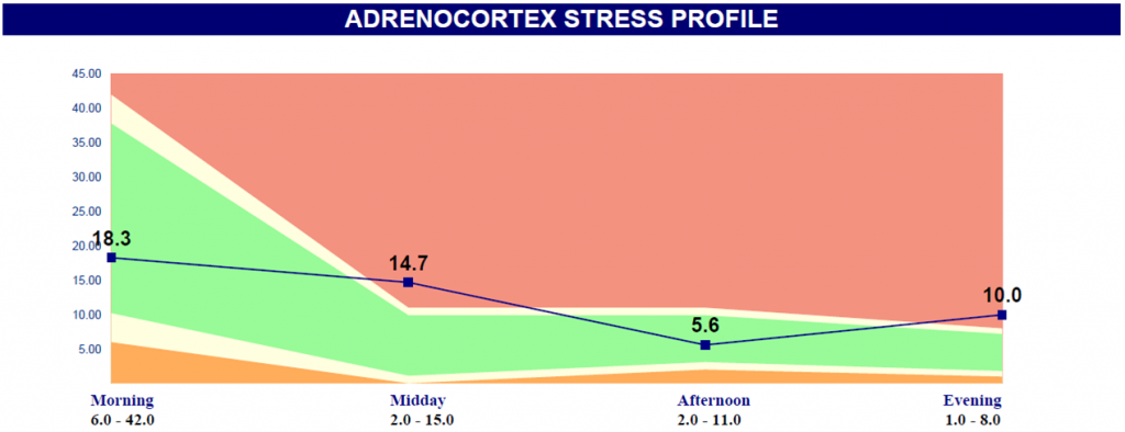Tests That Reveal What's Stopping Your Fat Burning | Healthy Remedies