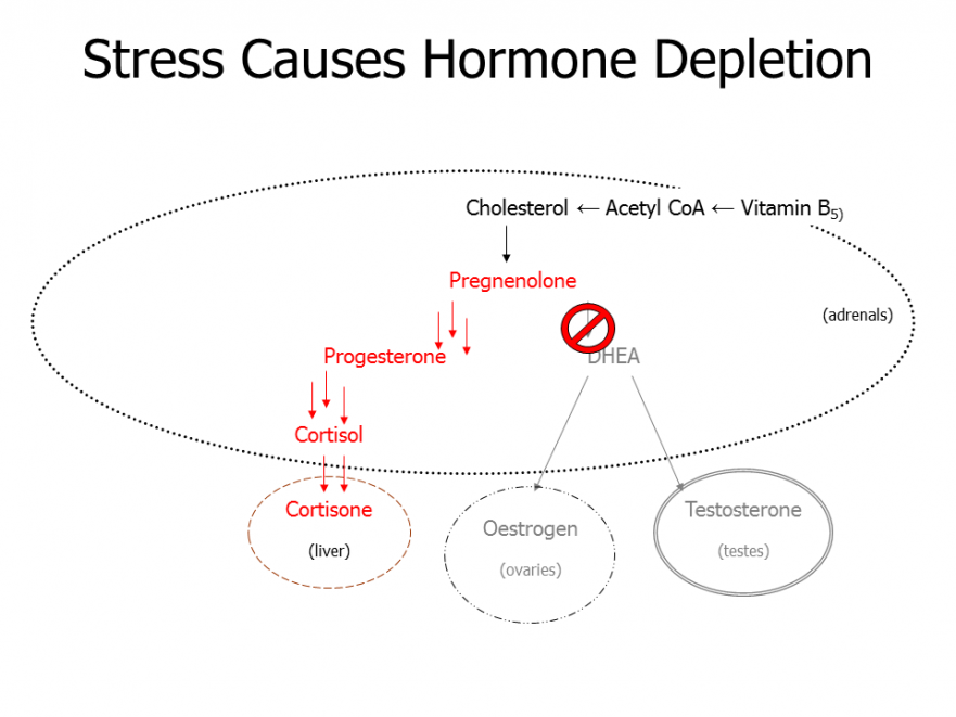 How Stress Causes PMS, Period Pain & Other Period Problems