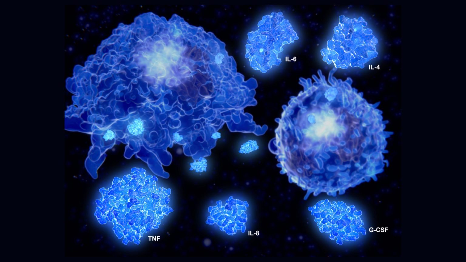 What are the Symptoms of Being Immunocompromised?
