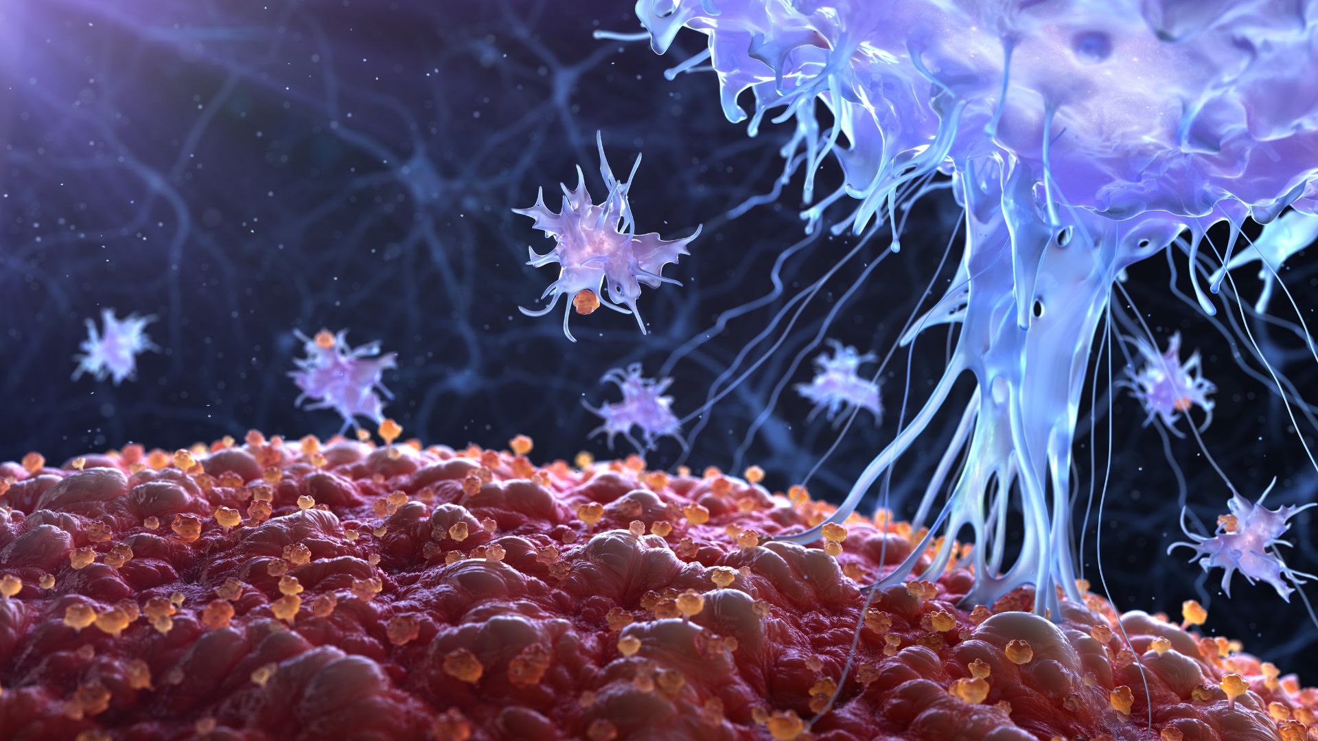 What are the Symptoms of Being Immunocompromised?